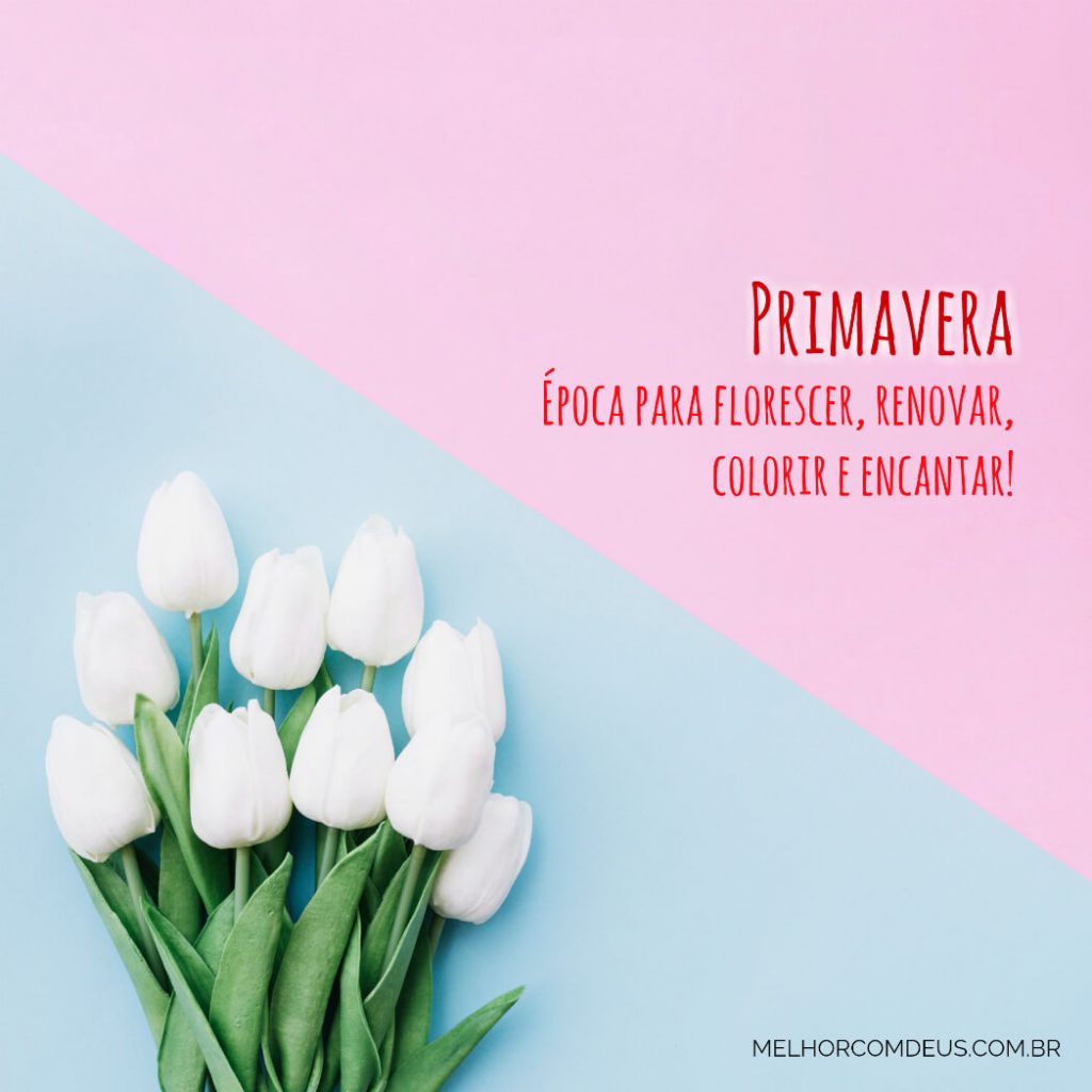 Primavera: Época para florescer, renovar, colorir e encantar!
