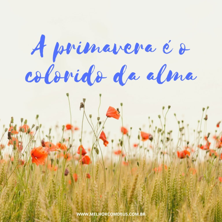 Frases e Mensagens sobre a Primavera - Melhor com Deus